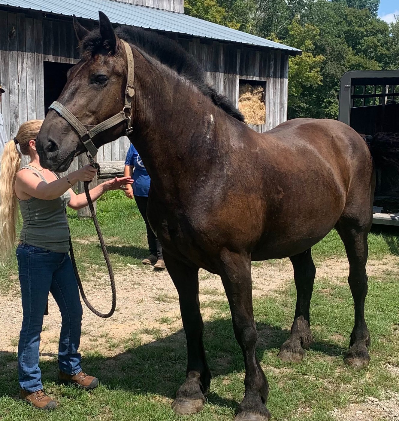 Stall Rental For Your Horse | Uncle Bucks Riding Stable and Dance Barn